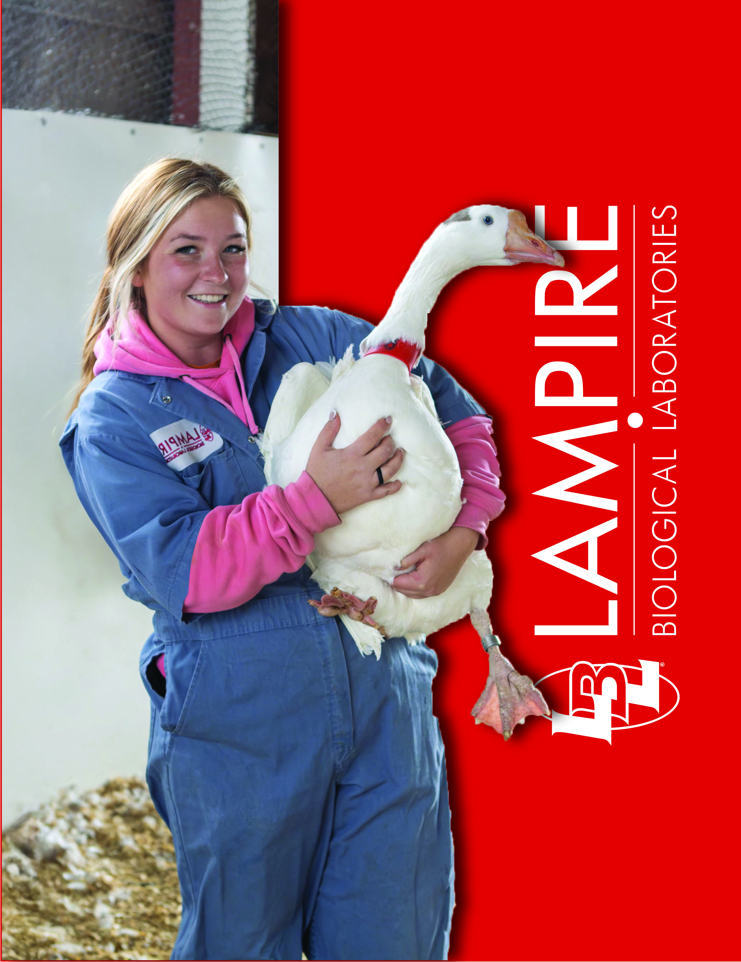 Donor: Animal Whole Blood | Lampire Biological Laboratories, Inc.
